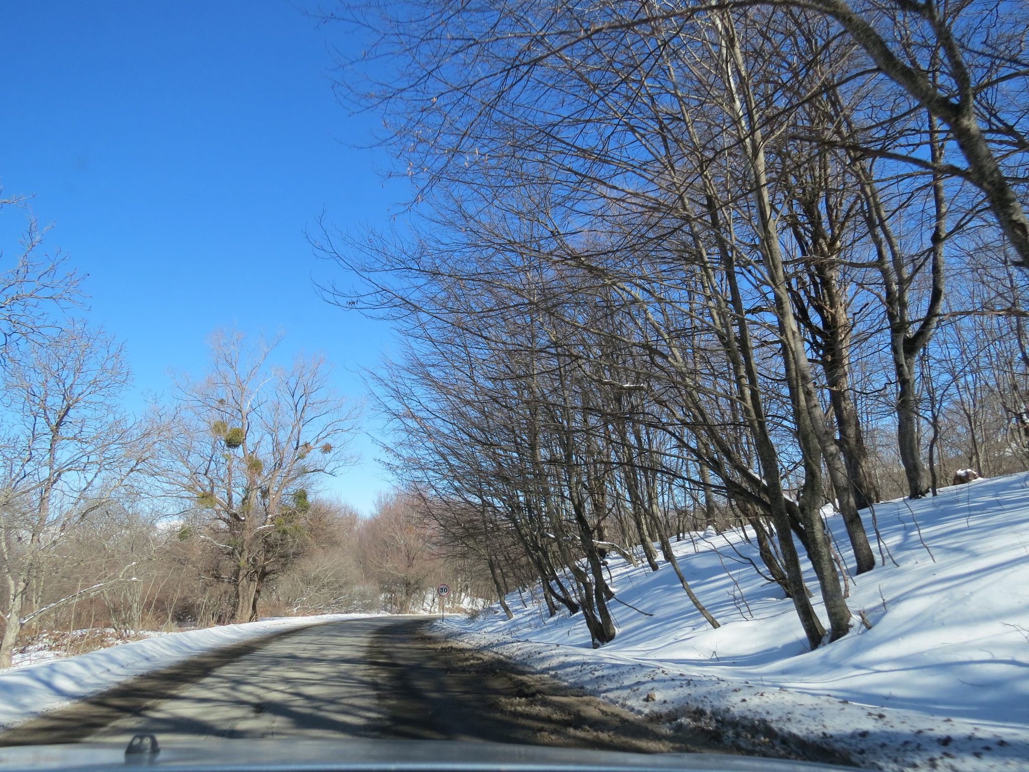 Discover Georgia in Winters – Travel With Me 24 X 7