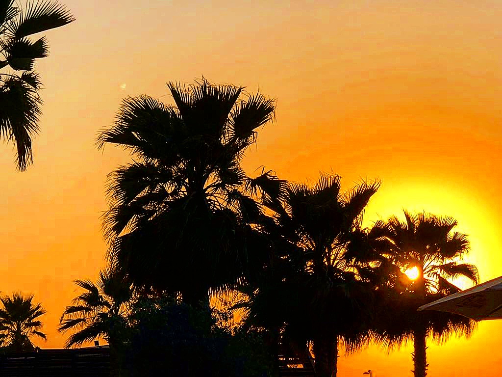 JBR Beach Activities Dubai – Most Popular Hangout of Dubai – Travel ...